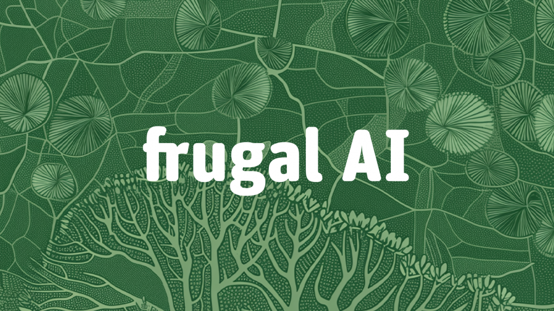 frugal AI - datacraft